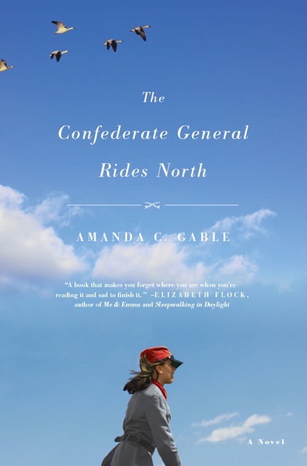 Amanda C. Gable | About The Book